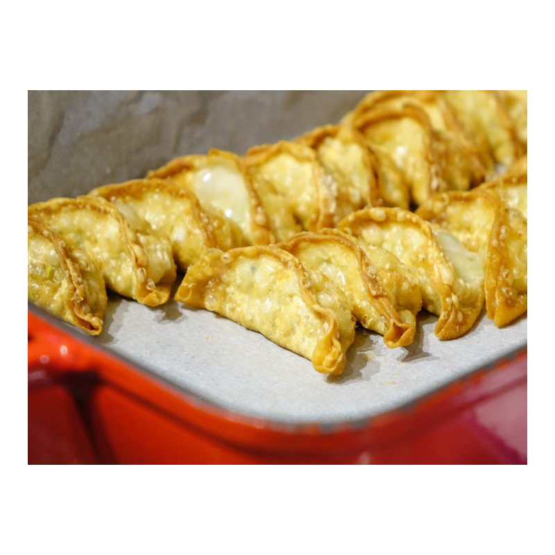 Seiwa Gyoza Dumpling Form